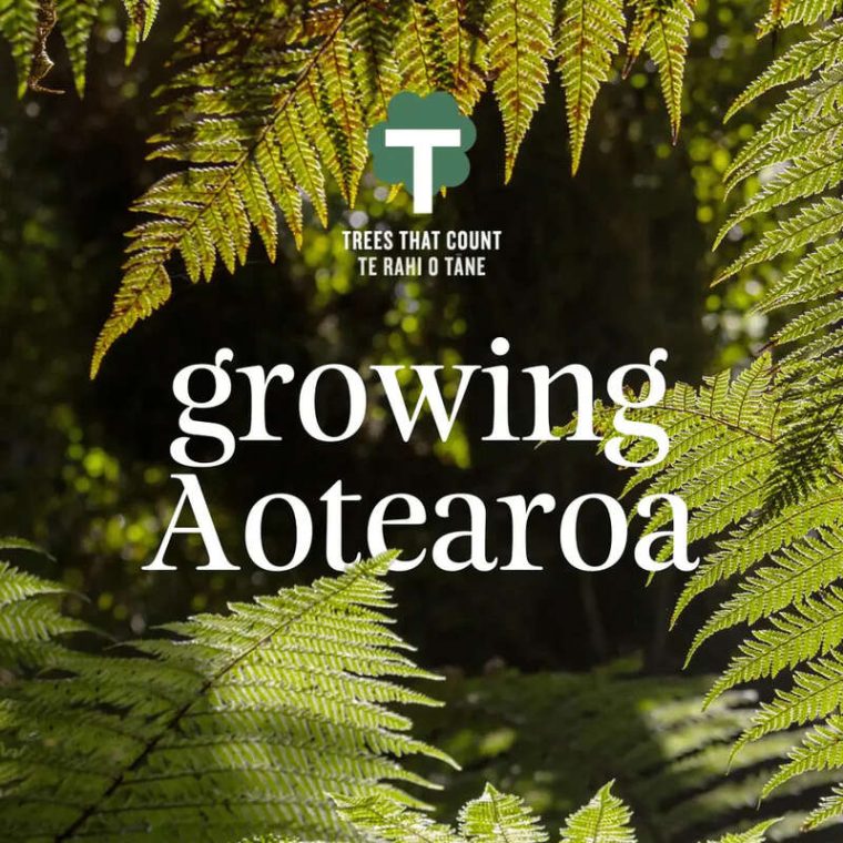 About us - Decipher Group